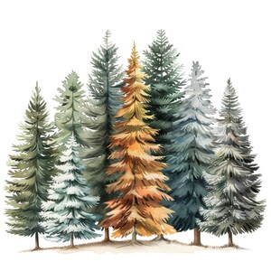16 Winter Pines Christmas Trees Clipart Bundle, 16 High-quality JPG ...