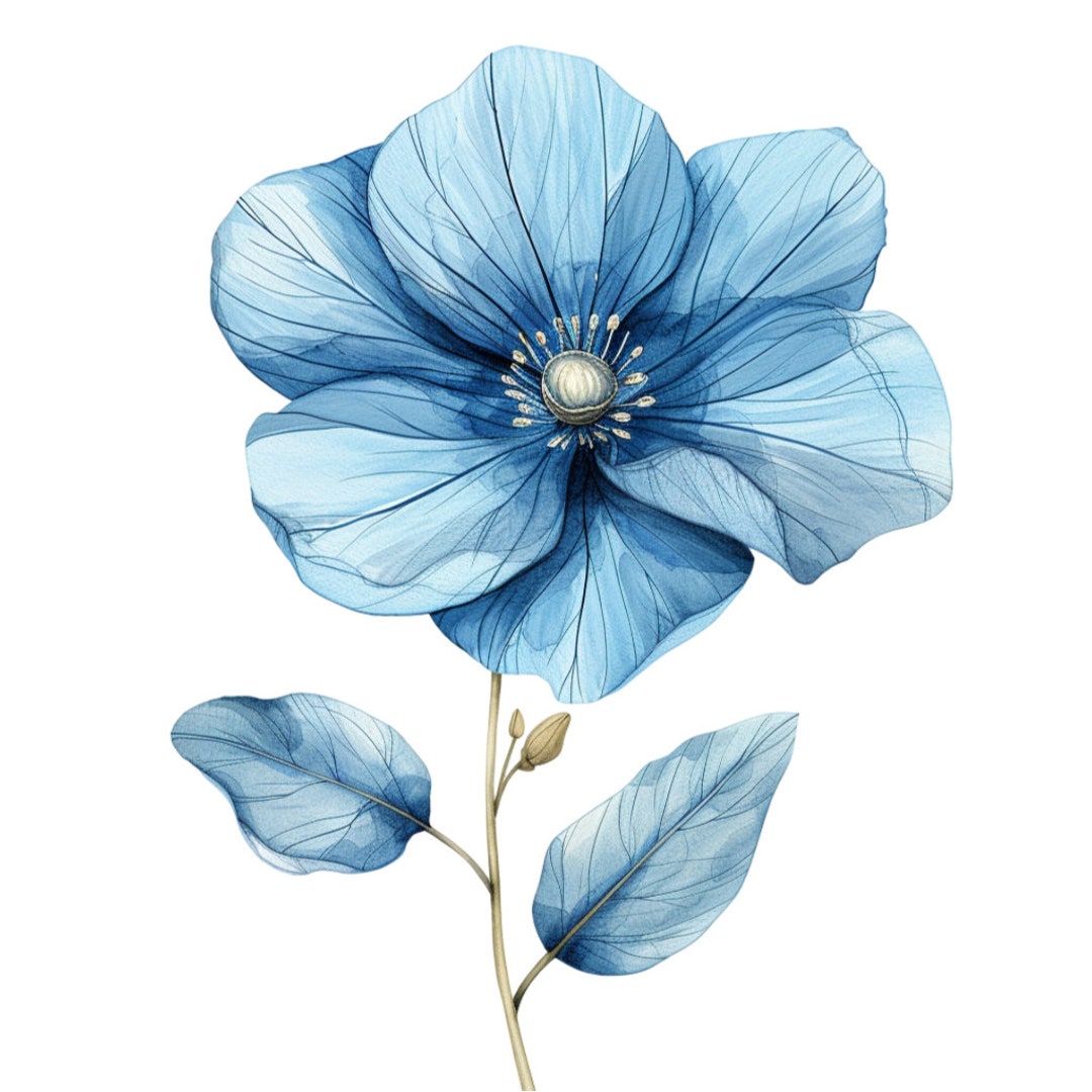 Blue Boho Flowers Clipart Bundle, 16 High-quality JPG, Craft Art, Card ...