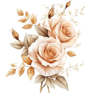 Peach Roses With Gold Clipart Bundle, 16 JPG and Transparent PNG ...