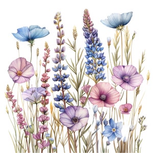 Wildflowers in a Line Border 2 Clipart Bundle, 16 High-quality JPG ...