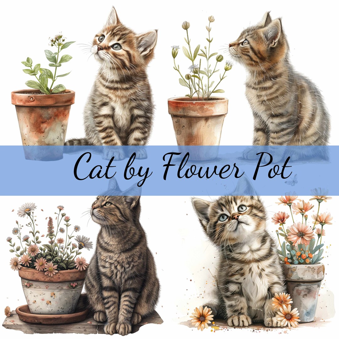 16 Cat by A Flower Pot Clipart Bundle, 16 High-quality JPG, Craft Art ...