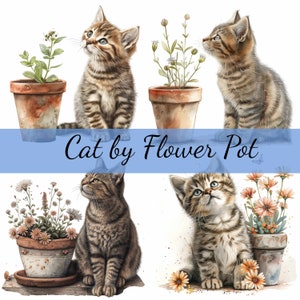 Cat by A Flower Pot Clipart Bundle, 16 High-quality JPG, Craft Art ...