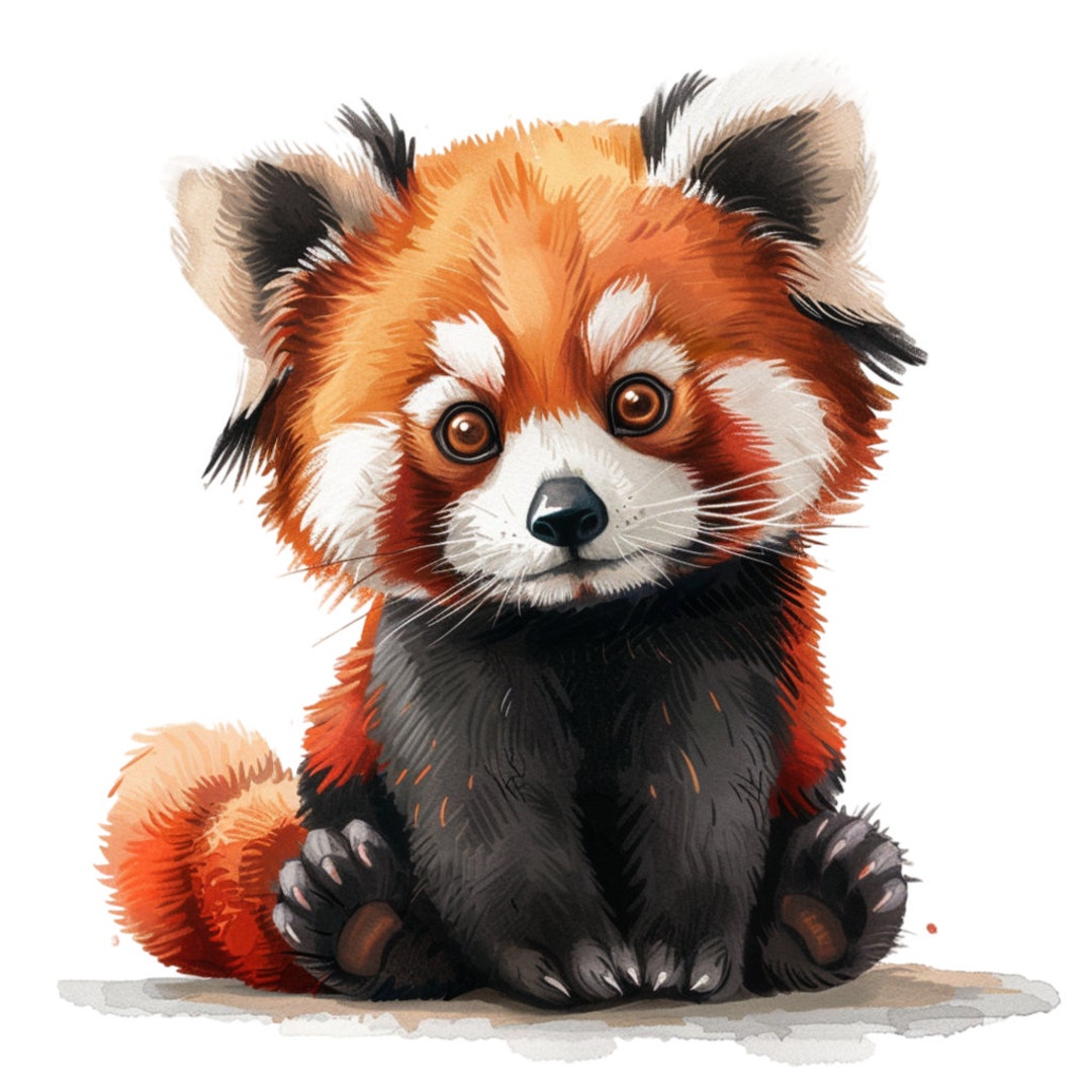 Cute Red Panda Clipart Bundle, 16 High-quality JPG, Craft Art, Card ...