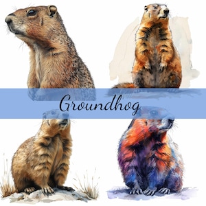 Charming Groundhog Clipart Bundle, High-quality JPG, Craft Art, Card ...