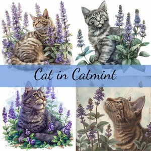 Cat in Purple Catmint Flowers Clipart Bundle, 16 High-quality JPG ...