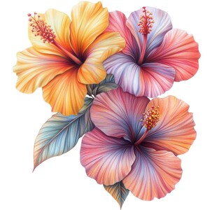 Folk Art Tropical Flowerpastel Clipart Bundle, 15 Transparent PNG ...