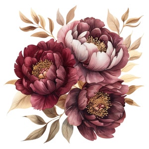 Burgundy Peony Flowers Wedding Clipart Bundle, 16 High-quality JPG ...