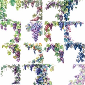 Grape Corner Frame Clipart Bundle, 16 High-quality JPG, Craft Art, Card ...