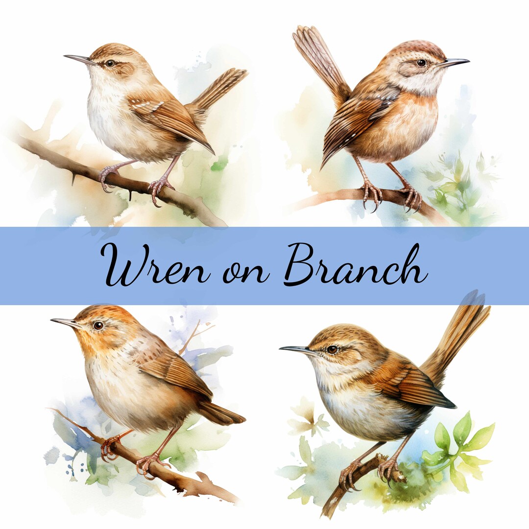 15 Wren Bird on Branch Clipart Bundle, High-quality JPG, Craft Art ...