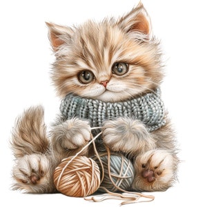 Cute Cat Knitting Yarn Clipart Bundle, 16 High-quality JPG, Craft Art ...