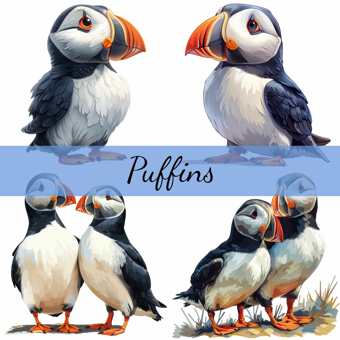 16 Charming Puffins Clipart Bundle, 16 High-quality JPG, Craft Art ...
