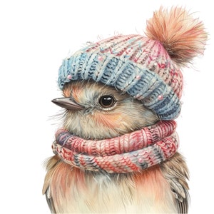 Cute Bird With Knit Hat Clipart Bundle, 16 High-quality JPG, Craft Art ...