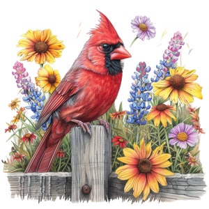 Cardinal Bird on a Fence W Flowers Clipart Bundle, 15 High-quality JPG ...