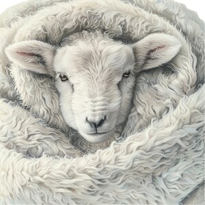 16 Sheep in a Blanket Clipart Bundle, 16 High-quality JPG, Craft Art ...