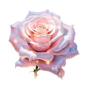 Singe Cosmic Rose Flower Clipart Bundle, High-quality JPG, Craft Art ...