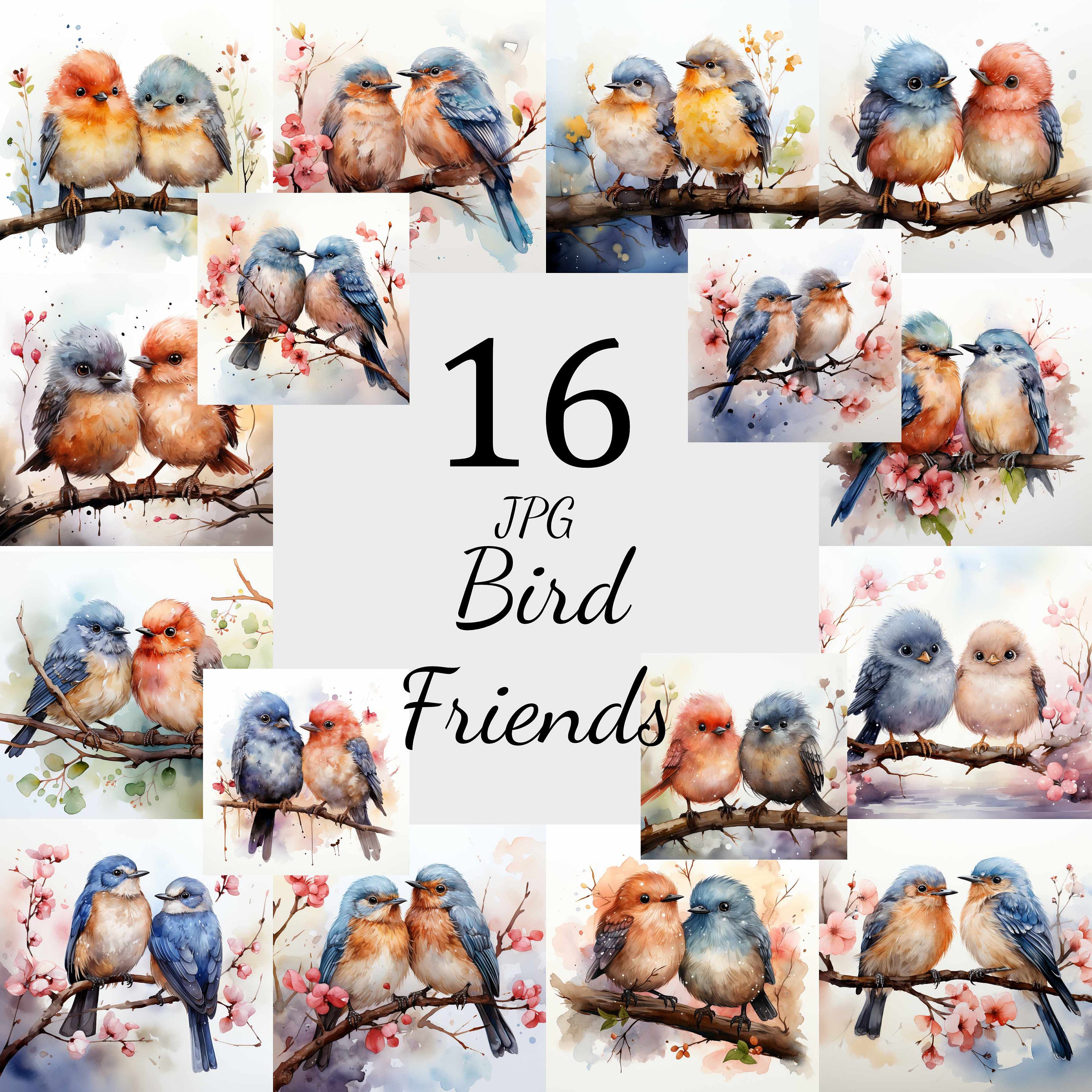12 Bird Friends Clipart Bundle, 12 High-quality JPG, Nursery Art, Card ...