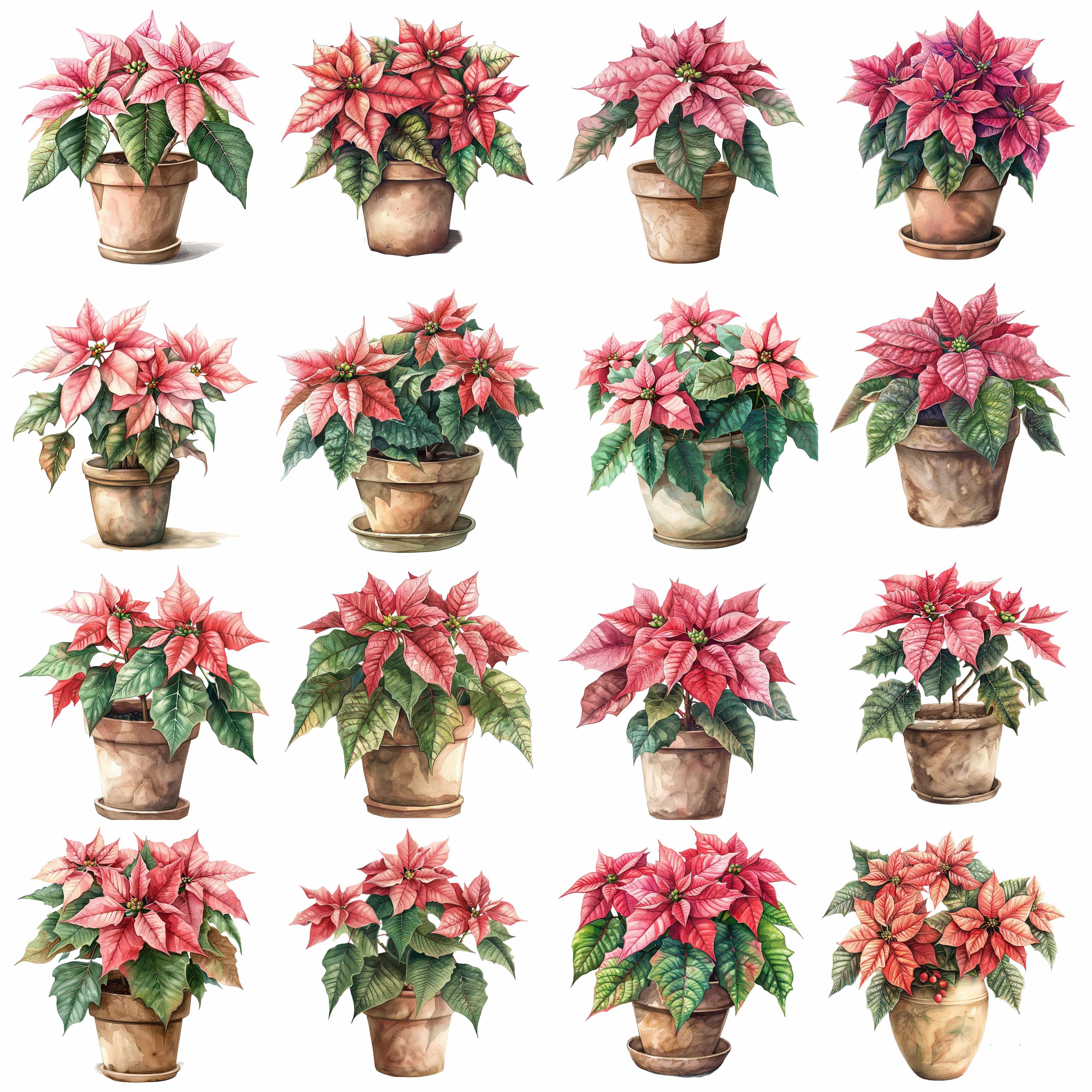16 Poinsettia in a Pot Clipart Bundle, 16 High-quality JPG, Craft Art ...