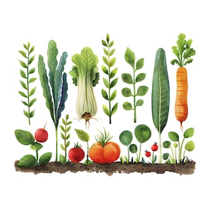 16 Vegetable Garden Clipart Bundle, 16 High-quality JPG, Craft Art ...