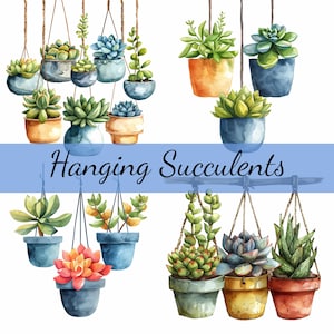 Succulents in Hanging Pots Clipart Bundle, 16 High-quality JPG, Craft ...