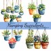 16 Succulents in Hanging Pots Clipart Bundle, 16 High-quality JPG ...