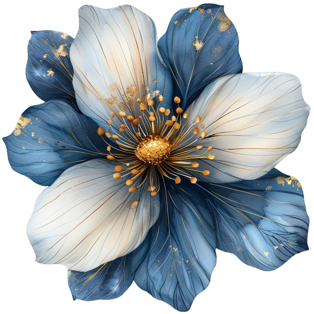 Navy Blue and Gold Flower Abstract Clipart Bundle, 16 High-quality JPG ...