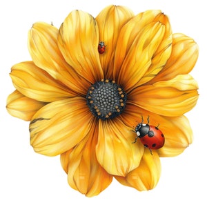 Ladybug on Flowers Clipart Bundle, 16 High-quality JPG, Craft Art, Card ...