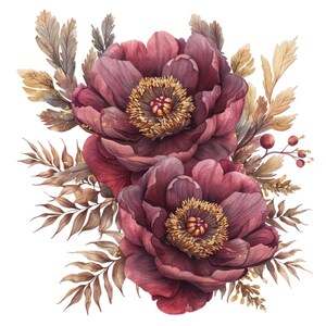 Burgundy Peony Flowers Wedding Clipart Bundle, 16 High-quality JPG ...