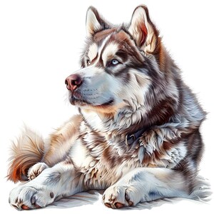 Cute Husky Clipart Bundle, 16 High-quality JPG, Craft Art, Card Making ...