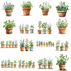 Herbs in Pots Clipart Bundle, 16 High-quality JPG, Craft Art, Card ...
