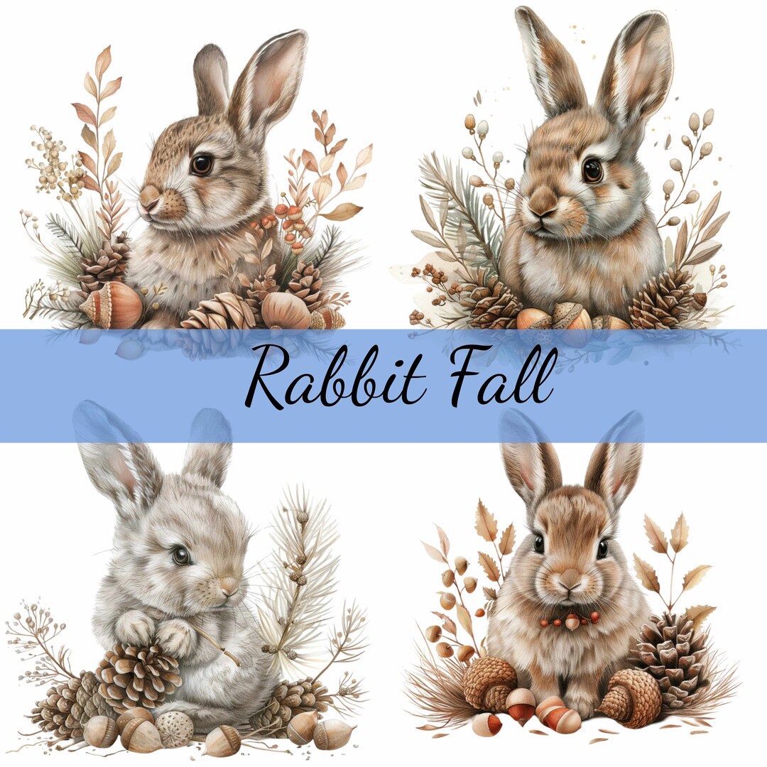 16 Rabbit With Acorns Pine Cones Clipart Bundle, 16 High-quality JPG ...