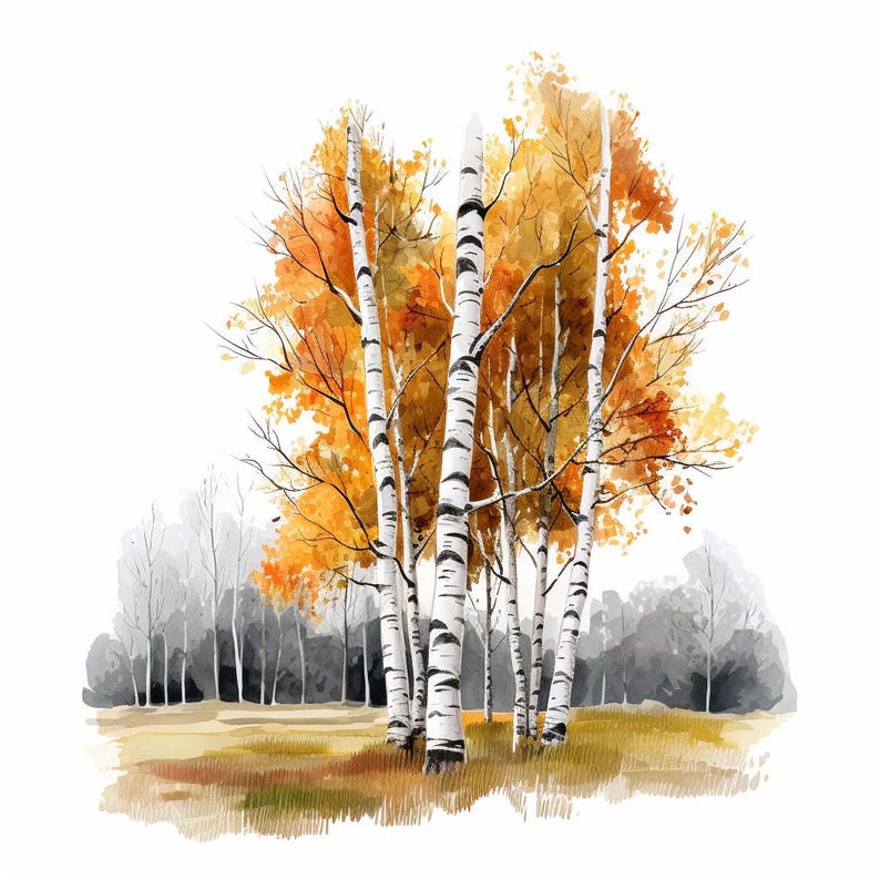 16 Fall Autumn Birch Trees Clipart Bundle, High-quality JPG, Craft Art ...