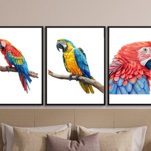 Beautiful Macaw Clipart Bundle, 16 High-quality JPG, Craft Art, Card ...