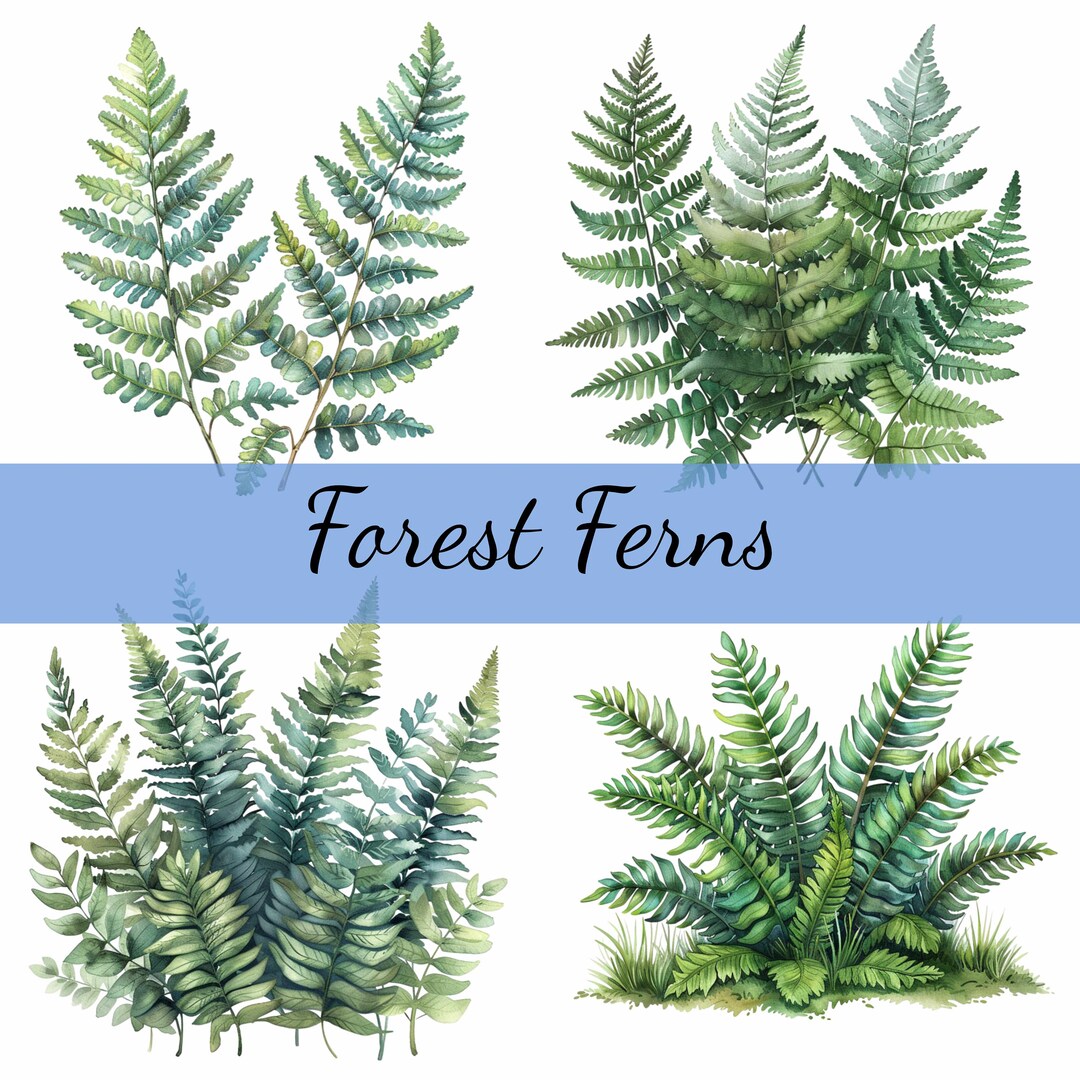 Forest Ferns Clipart Bundle, 16 High-quality JPG, Craft Art, Card ...
