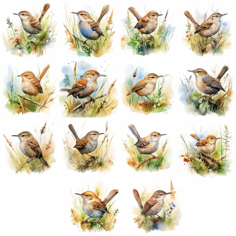 Wren Bird in Grass Clipart Bundle, High-quality JPG, Craft Art, Card ...