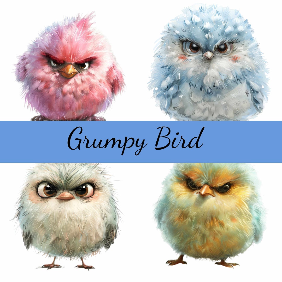 Fluffy Fat Grumpy Bird Clipart Bundle Clipart Bundle, JPG, Card Making ...