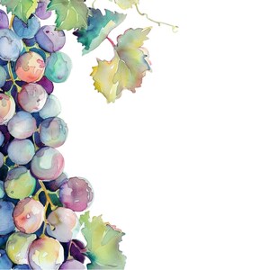 Grape Corner Frame Clipart Bundle, 16 High-quality JPG, Craft Art, Card ...