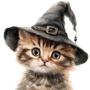 Cat With a Witch Hat Clipart Bundle, 16 High-quality JPG, Craft Art ...