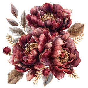 Burgundy Peony Flowers Wedding Clipart Bundle, 16 High-quality JPG ...