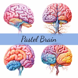 Pastel Anatomical Brain Clipart Bundle, High-quality JPG, Craft Art ...