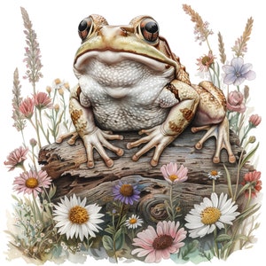 15 Cute Frog on Log With Flowers Clipart Bundle, 15 High-quality JPG ...