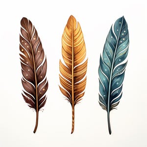 14 Boho Feather Clipart Bundle, High-quality JPG, Invitations, Card ...