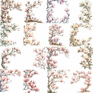 16 Magnolia Tree Flower Border Frame Corner Clipart Bundle 16 ...
