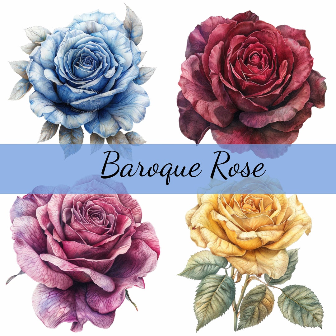 15 Baroque Rose Red, Yellow, Blue Clipart Bundle, 15 High-quality JPG ...