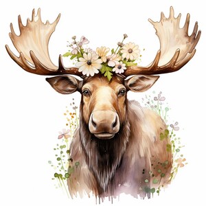 12 Cute Moose W Flowers Clipart Bundle, High-quality JPG, Nursery Art ...