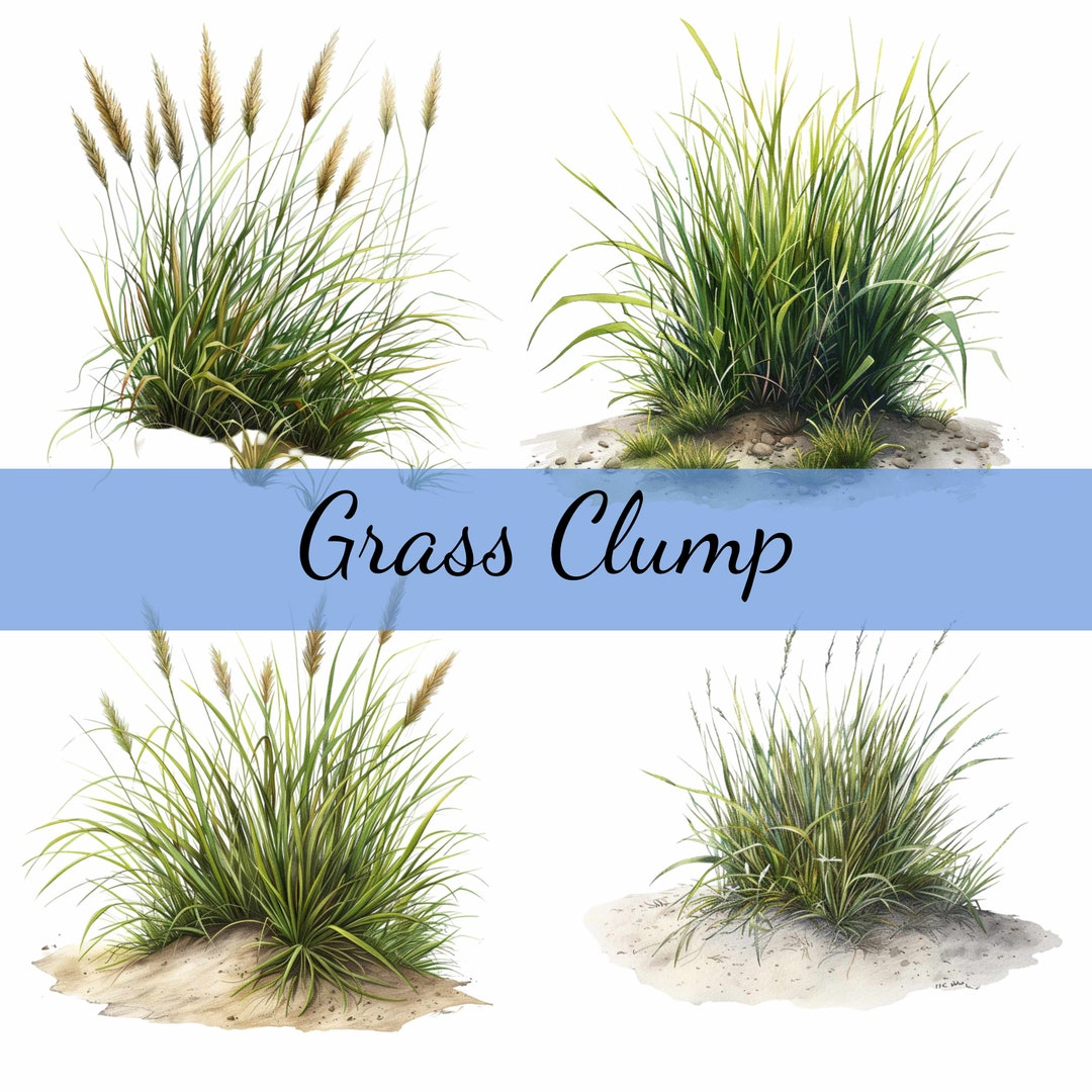16 Grass Clump Reeds Clipart Bundle, 16 High-quality JPG, Craft Art ...