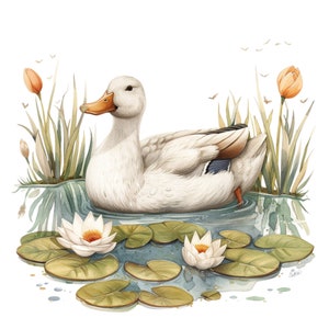 15 Duck in a Pond 2 Clipart Bundle, 15 High-quality JPG, Craft Art ...