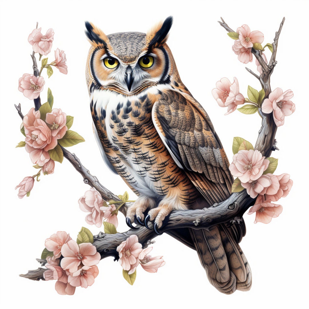Great Horned Owl Clipart Bundle, High-quality JPG, Craft Art, Card ...