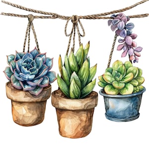 Succulents in Hanging Pots Clipart Bundle, 16 High-quality JPG, Craft ...