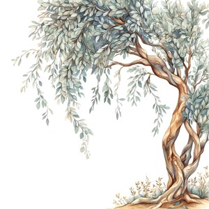 16 Willow Tree Leaf Border Frame Corner Clipart Bundle 16 Transparent ...