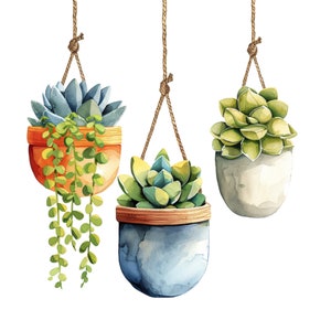 Succulents in Hanging Pots Clipart Bundle, 16 High-quality JPG, Craft ...